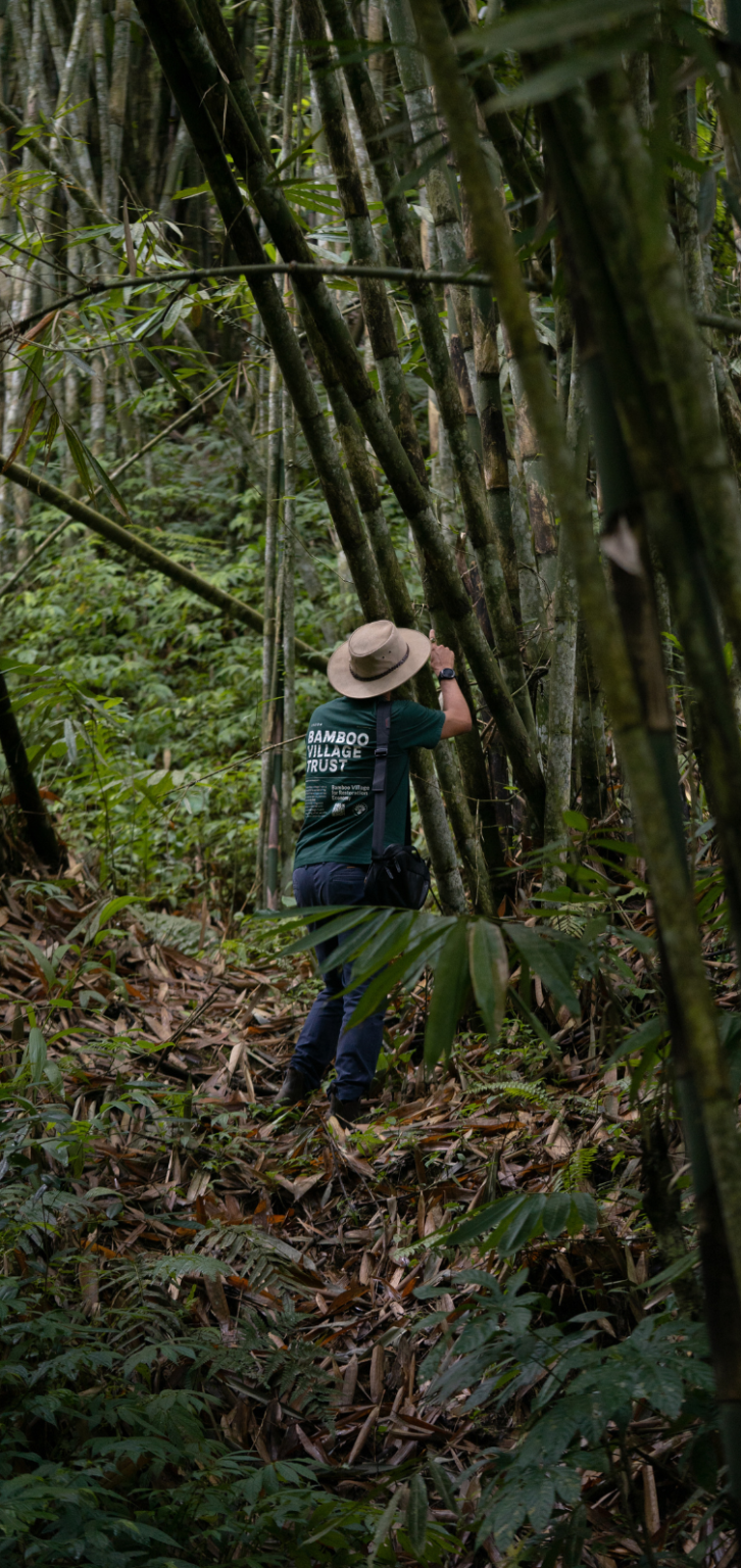 About Us - Bamboo Village Trust